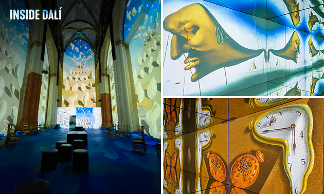 Inside Dalí, Ticket d'entrée pour Inside Dalì Spare 28% in Brabant ...