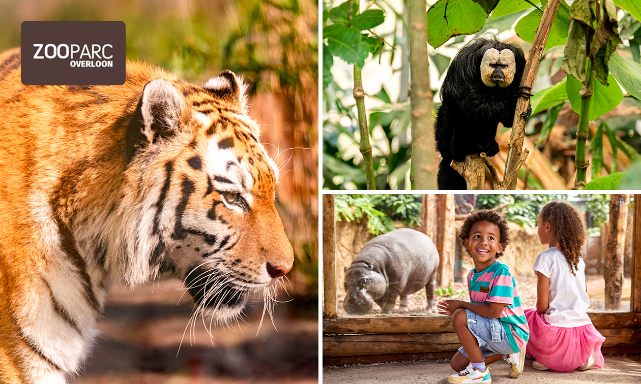 ZooParc Overloon, Eintritt ZooParc Overloon Spare 34% in Bergisches ...